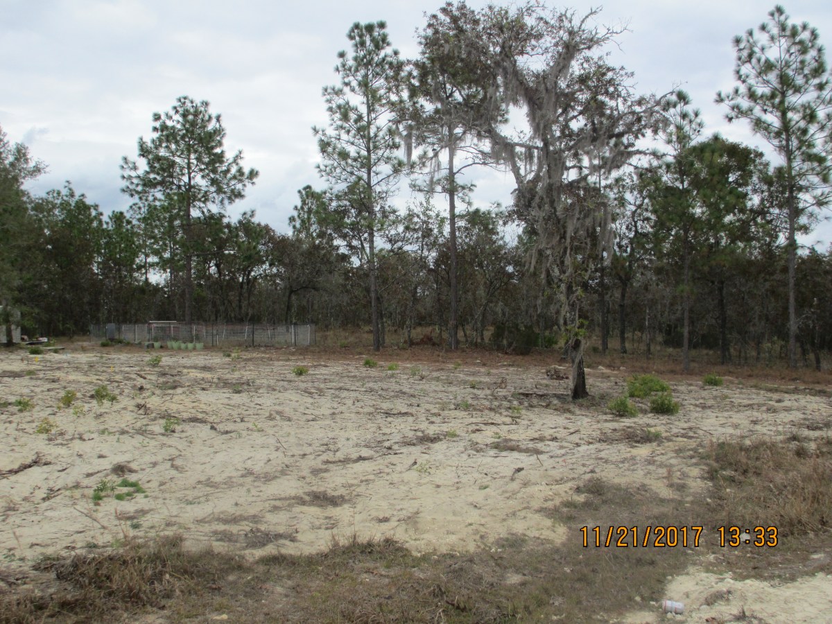 Sabbath Afternoon Fun: Psalms 139:13-14 Bible Quiz Word Search Puzzle ...